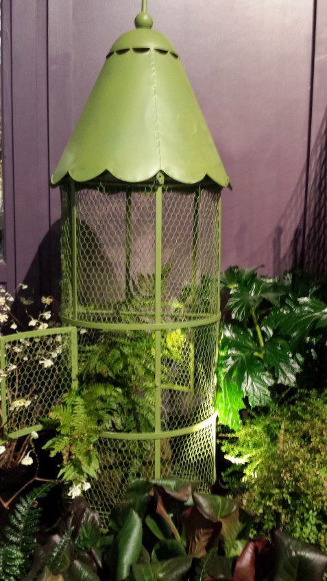 Clematis Supports | Clematis in Seattle